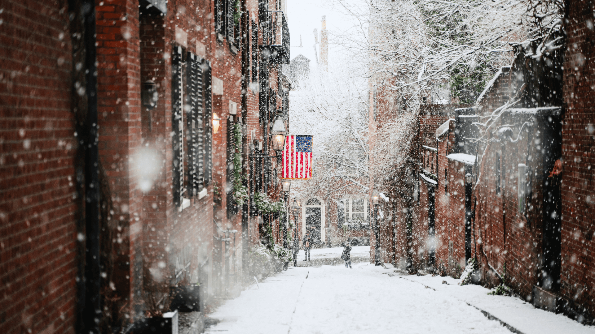 Winter in Boston: Holiday Lights & Festive Events in Back Bay - View Boston